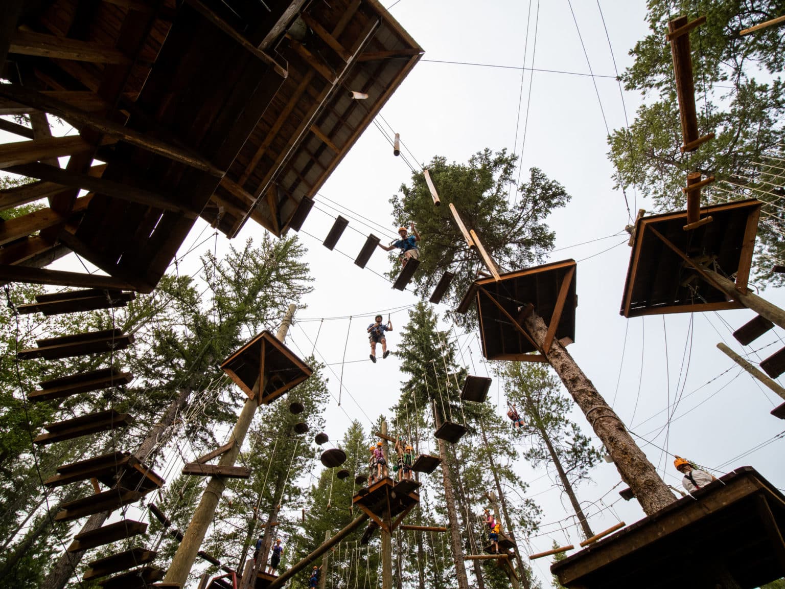 Top 5 Must-Do GNP Activities - Glacier Highline